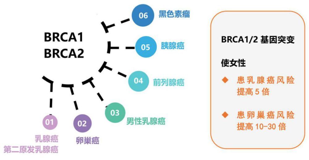 每一位乳腺癌患者都需要做BRCA基因检测吗？-春雨医生