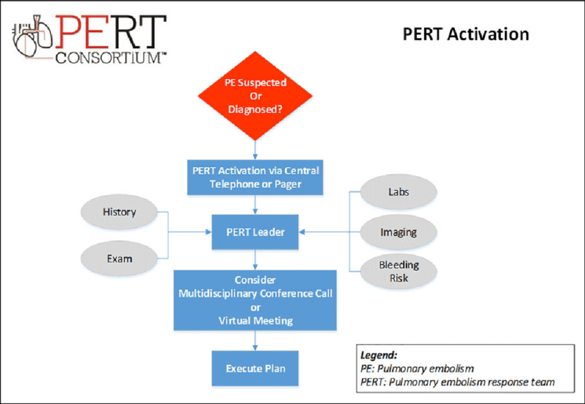 队列研究显示 PERT 实施与高危 PE 患者死亡率持续降低之间的关联 - 好大夫在线