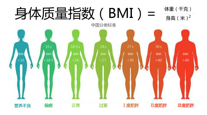 BMI是什么？_肥胖症_肥胖症检查 - 好大夫在线
