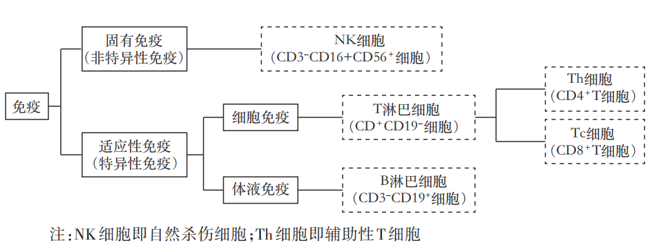 TBNK淋巴细胞检测在健康管理中的应用专家共识 - 好大夫在线
